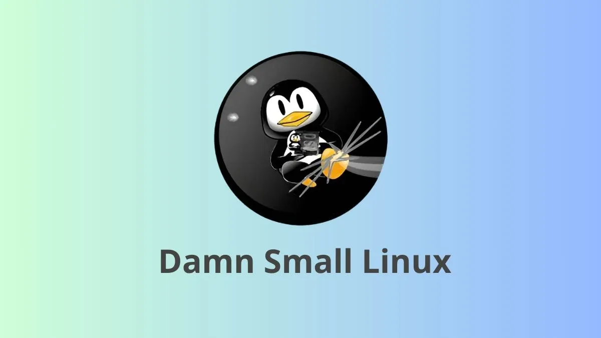 Cómo reviví mi PC vieja con Damn Small Linux: Una segunda vida para tu ordenador olvidado
